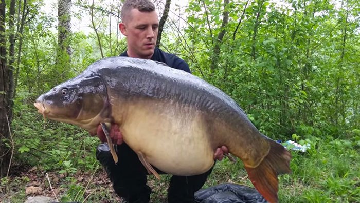 Is dit karpervissen of ‘vals spelen’? #drone – KWO