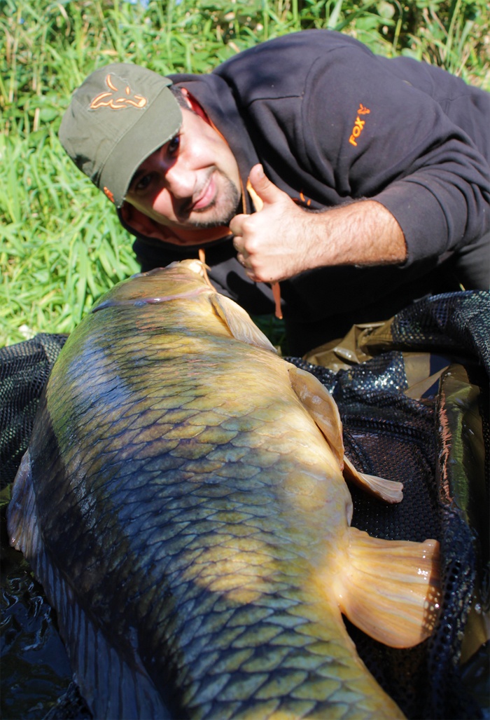 Product review: De FOX Stalker Plus Rodpod – KWO