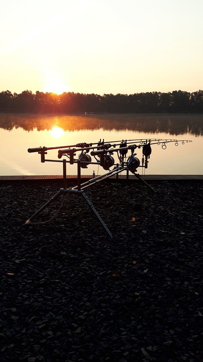 Vier veelgemaakte fouten op een betaalwater – Tips van Carplantis ...