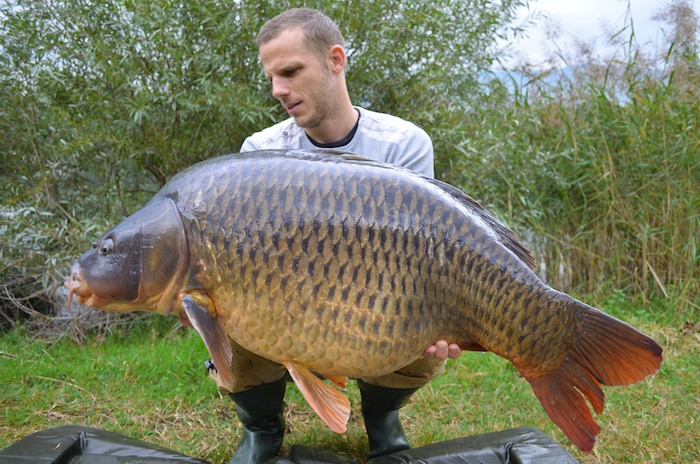 Droomsessies in de Alpen – Fish of a Lifetime van Marijn Ham – KWO