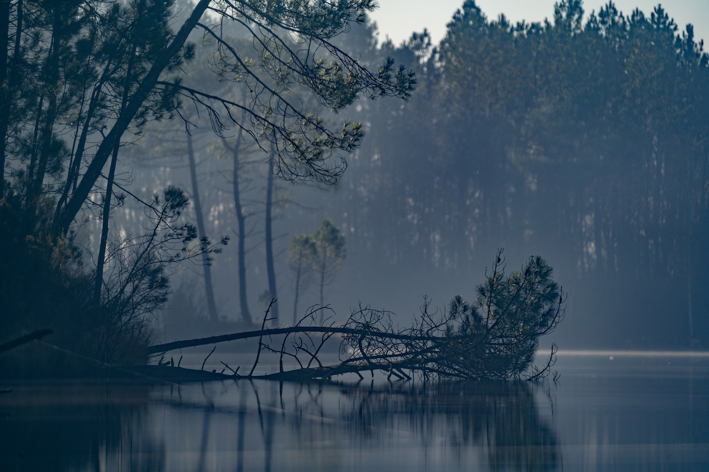 Nieuwsupdate | Goed nieuws vanaf Rainbow Lake - Frankrijk - KWO