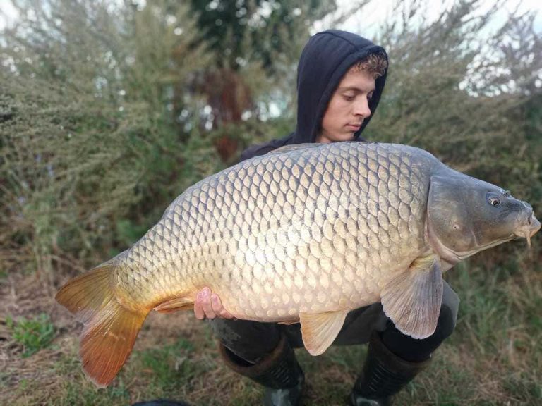 KWO Boulevard – 37 kilo van Oriënt en de GROOTSTE karper van UK! – KWO