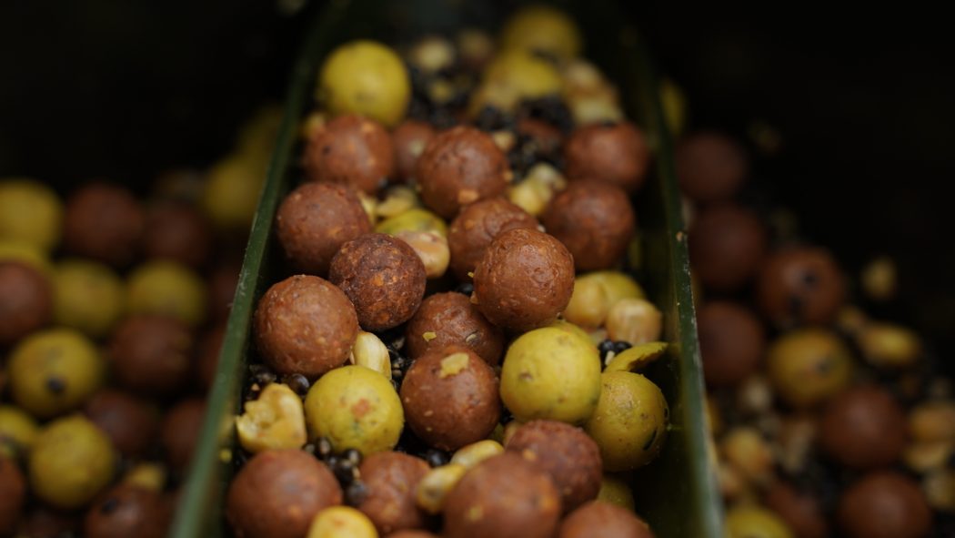 Zelf boilies maken: waar kun je beginnen? – KWO