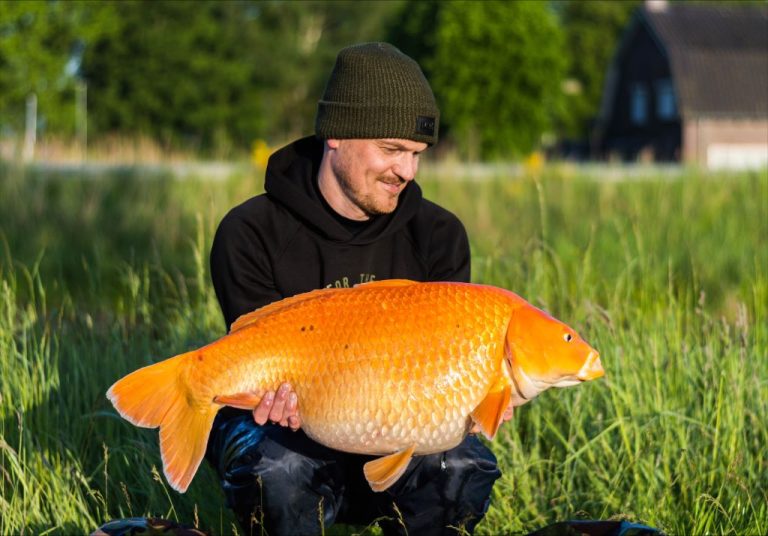 KWO Boulevard: GAVE WINACTIE, nieuwe PB’s & zomerse BAKKEN! – KWO