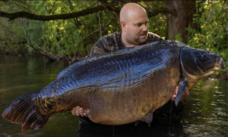 6 iconische karpers die de 40kg grens doorbraken! – KWO