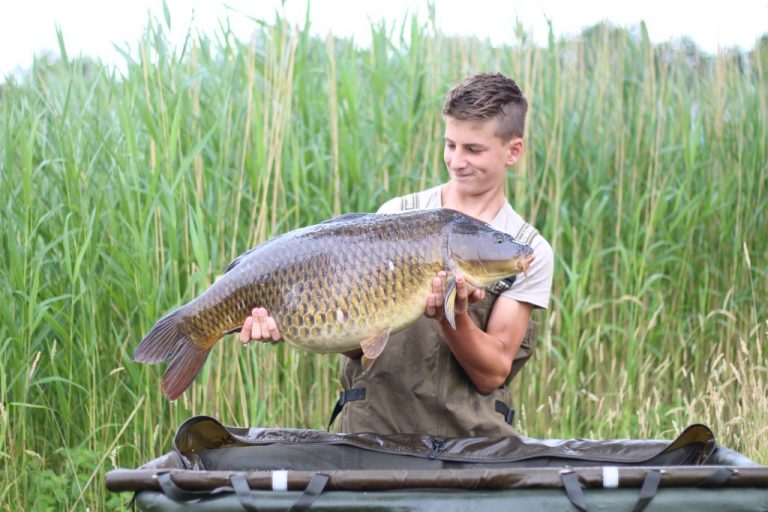 KWO Boulevard – terugblik op CARP DEN BOSCH & een BIZAR gekleurde mega ...