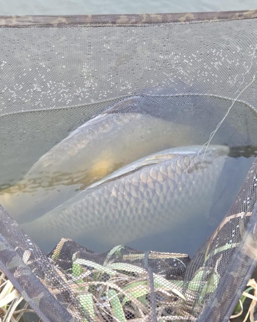 KWO Boulevard – Dubbelrun: Twee keer 20kg+(!) & de snelst groeiende ...